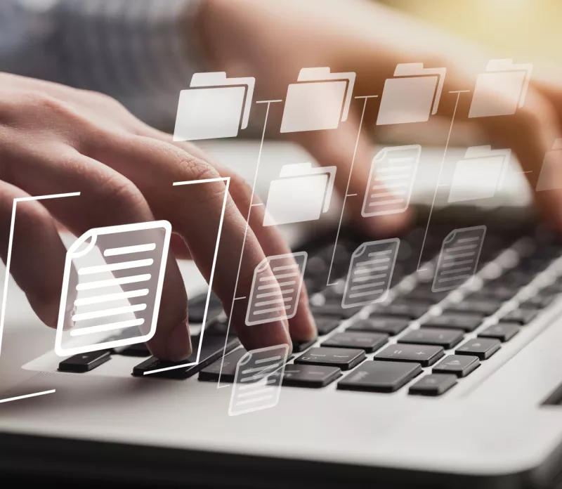 Nos activités | Groupe JVS